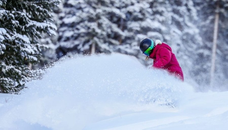 Body of missing 28-year-old teacher found in woods after snowstorm ...