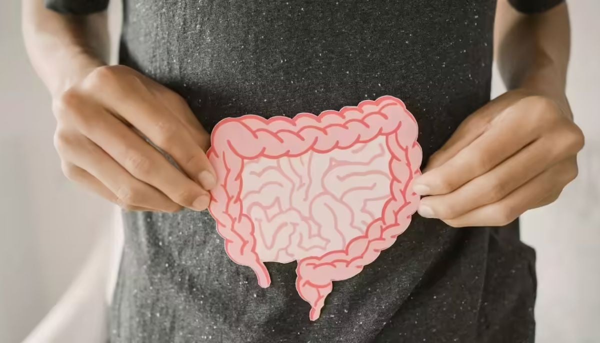 Expert explains how specific boring habits ensure long term physical ...