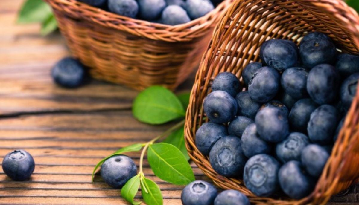 Blueberries may help protect bone health, says orthopaedic expert