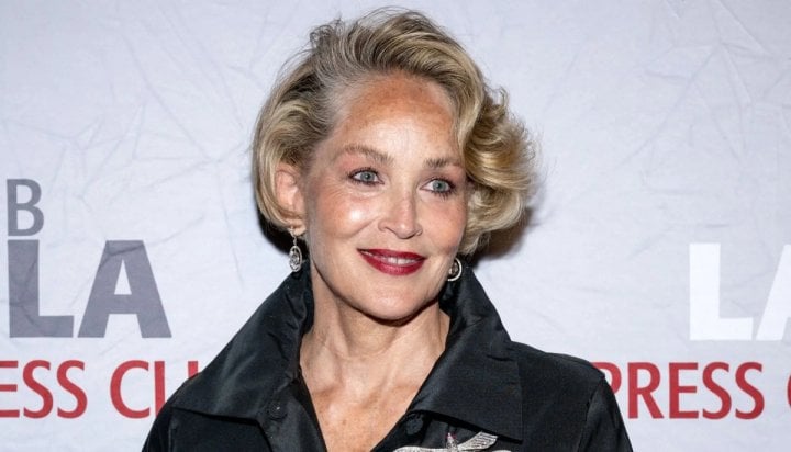 Sharon Stone shares how she created a ‘dad questions’ room for her ...