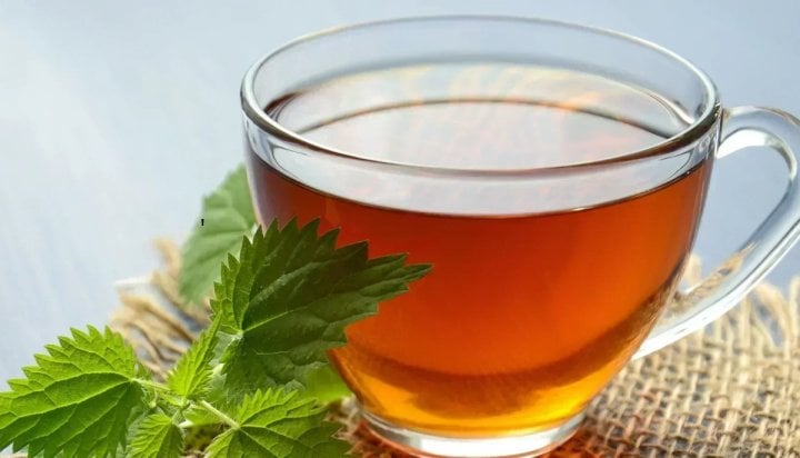 Why experts recommend Green Tea? 8 potential health benefits of ...