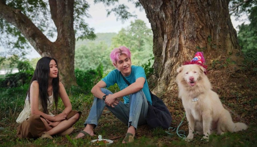 Thai box office hit ‘Gohan’ secures China release as international ...