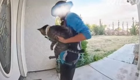 California family and Amazon driver clash over who owns cat seen in ...