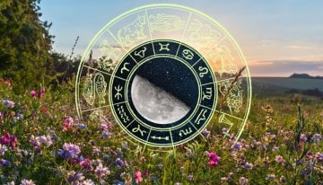 Horoscope for June 23: Prepare to succeed, avoid failure