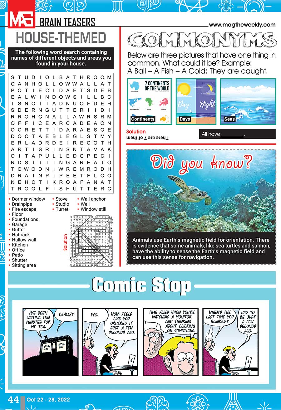 Can you solve these amazing house-themed brain teasers?