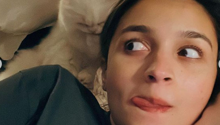 Alia Bhatt celebrating 'Diwali' with her pet cat Edward