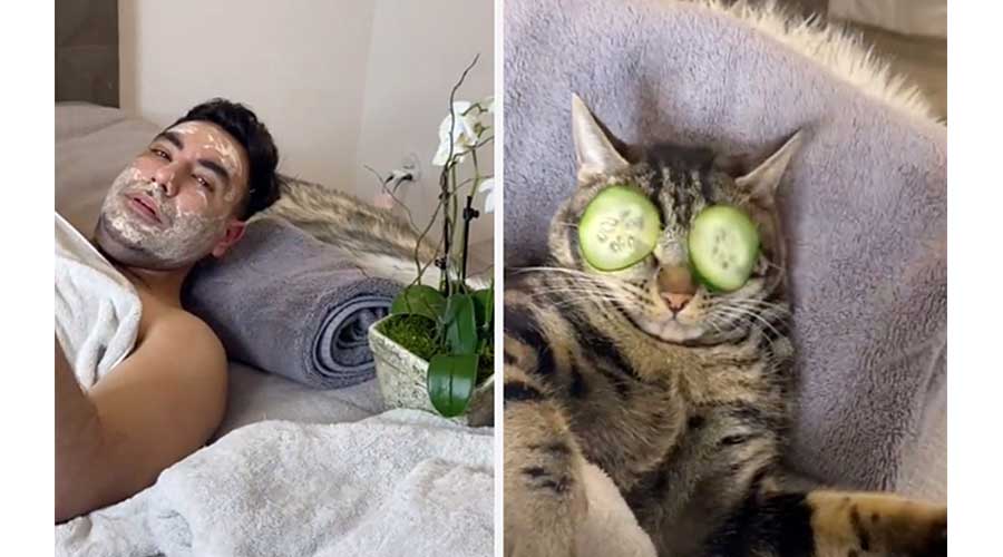Viral video shows cat enjoying a 'spaw' day, Internet is jealous