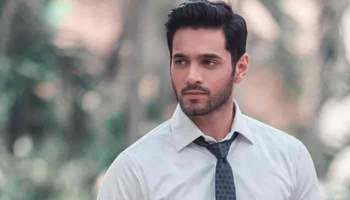 Wahaj Ali prefers rather 'mazloom' roles; Here's why