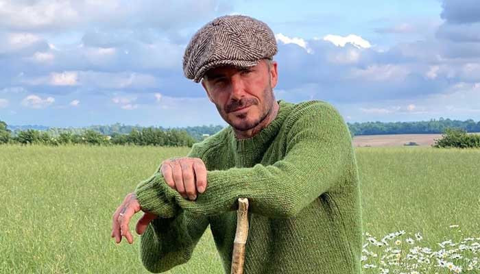 David Beckham marks World Bee Day after gifting honey jar to King ...