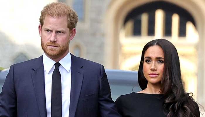 Meghan Markle, Prince Harry’s career setbacks explained: ‘built a house with no foundation’