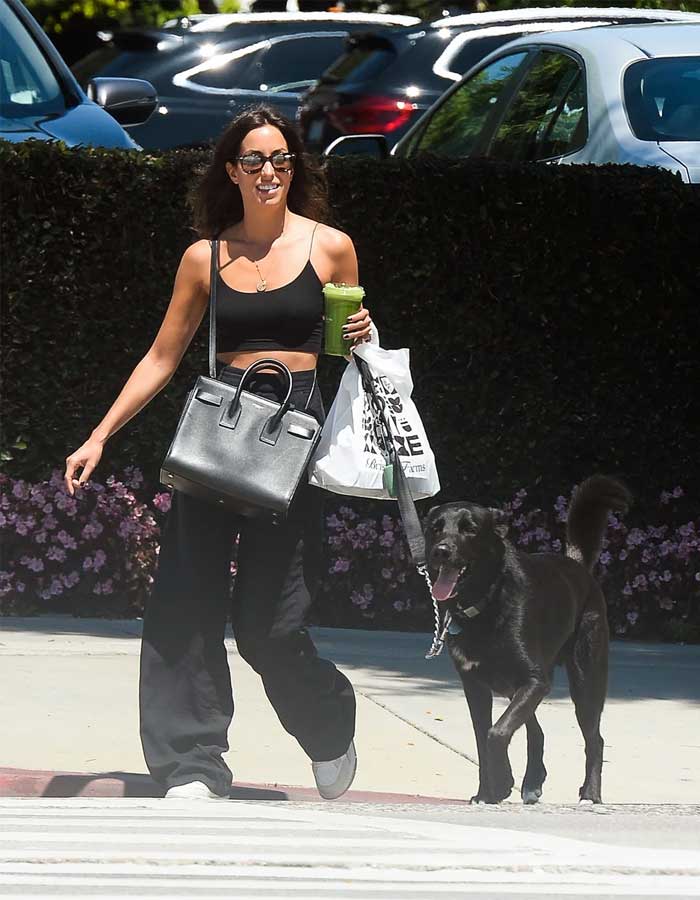 Brad Pitt and Ines de Ramon making romance official after ‘B’ necklace ...