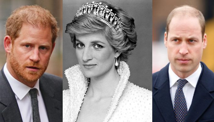 Netflix series ‘The Crown’ sparks outrage in Prince Harry, William over ...