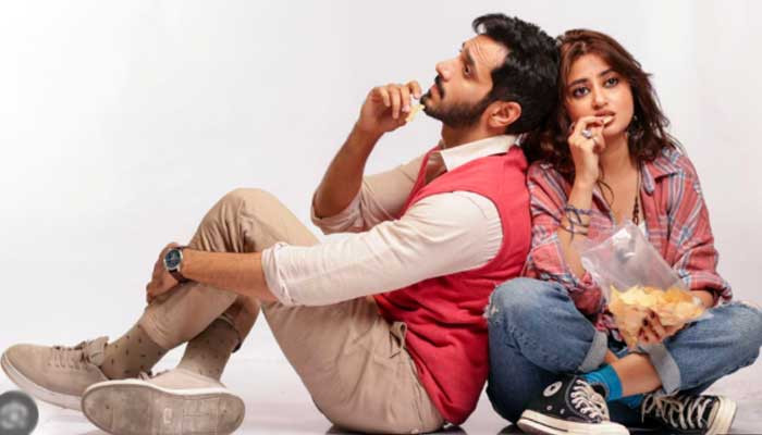 ‘The Pink Shirt' creators spill major beans on ZEE5 series starring ...