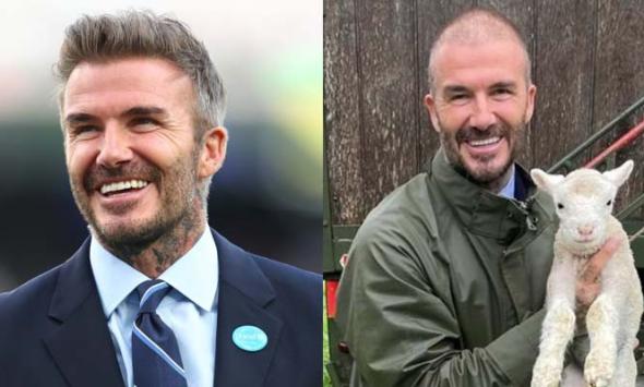 David Beckham's new buzzcut snap create social media buzz