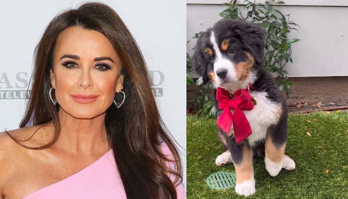 'RHOBH' star Kyle Richards welcomes new addition 'Bernese Mountain dog'