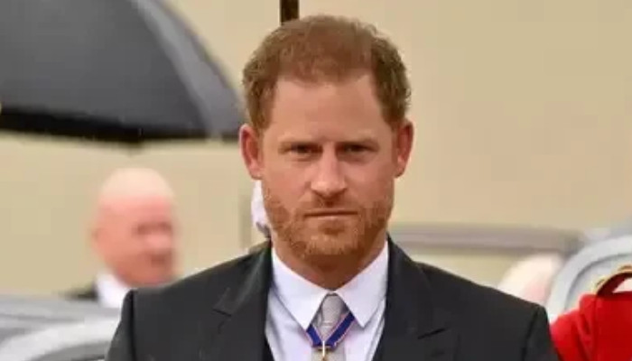 Prince Harry spotted in California amid US Visa controversy