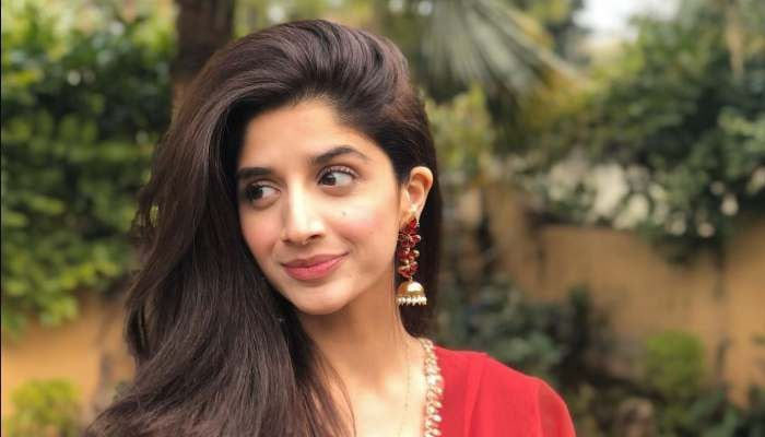 Mawra Hocane marks Bollywood comeback in new music video 'Tu Chaand Hai'