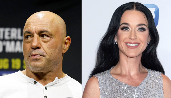 Joe Rogan trolls Katy Perry and Blue Origin astronauts