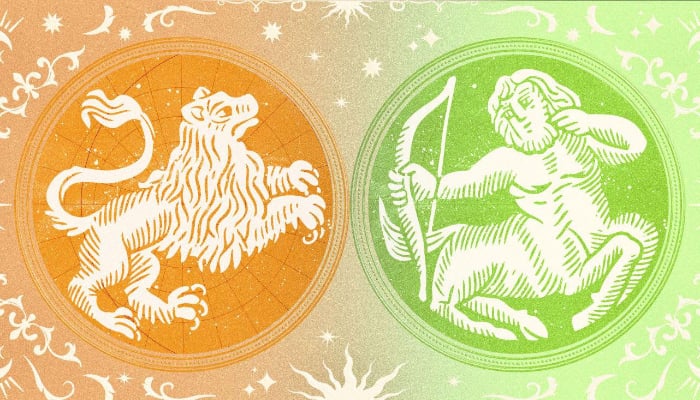 How to know if Sagittarius woman dislikes Leo man