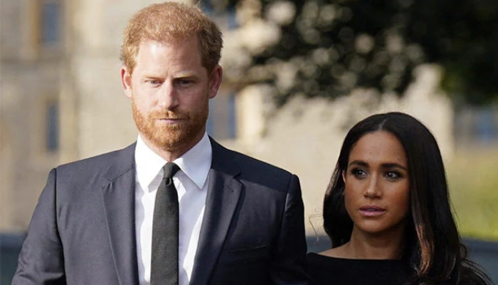 Prince Harry struggles to gain ‘sense of purpose’ since marriage to Meghan Markle?