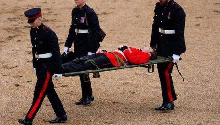 Buckingham Palace Guard's shocking collapse sparks concern
