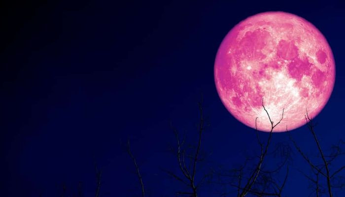 Strawberry Moon 2025: June’s full moon to light up skies on THIS date