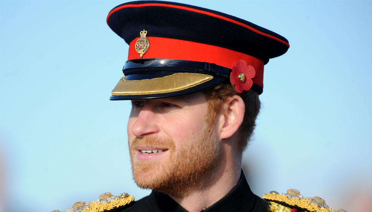 Prince Harry flaunts his British pride for Remembrance Day amid hints ...