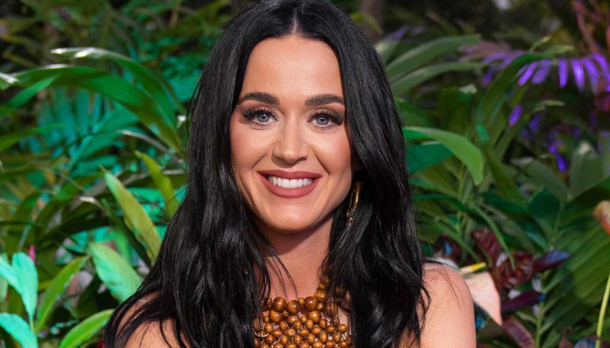 Katy Perry sues 85-year-old disabled veteran for $5mn