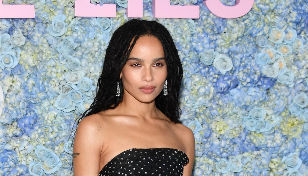Zoë Kravitz, Robert Irwin, Sarah Silverman celebrate birthdays on ...