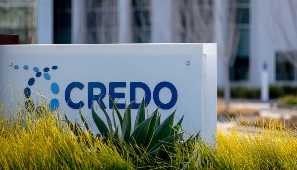 Credo Technology shares rally after posting strong results and securing ...