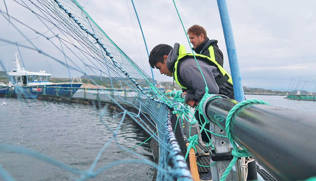 MIT students join Norway program to study high-tech Aquaculture and ...