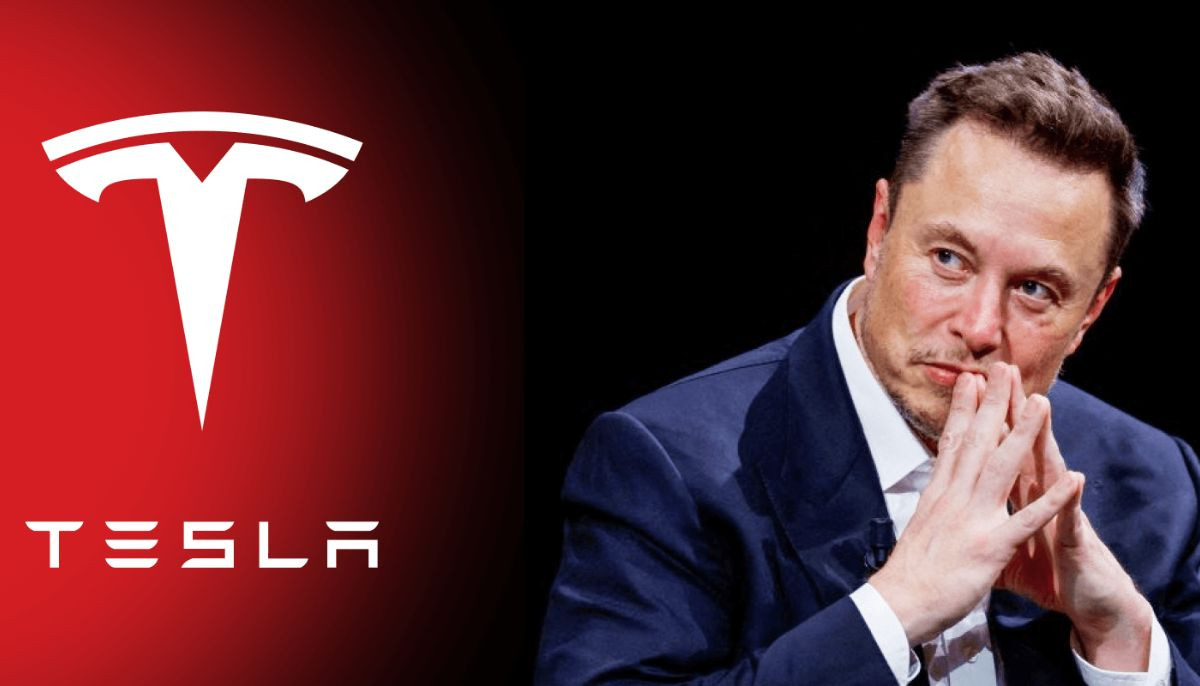 Reactions from 3 Tesla owners to Elon Musk's FSD update